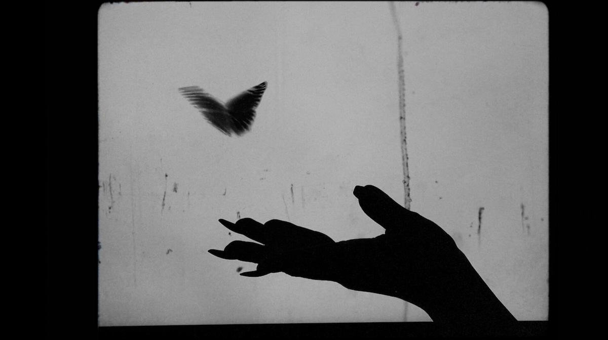 PANG – Film Invasion Los Angeles